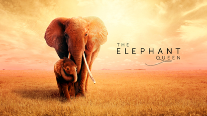 The Elephant Queen - Apple TV Press (UK)